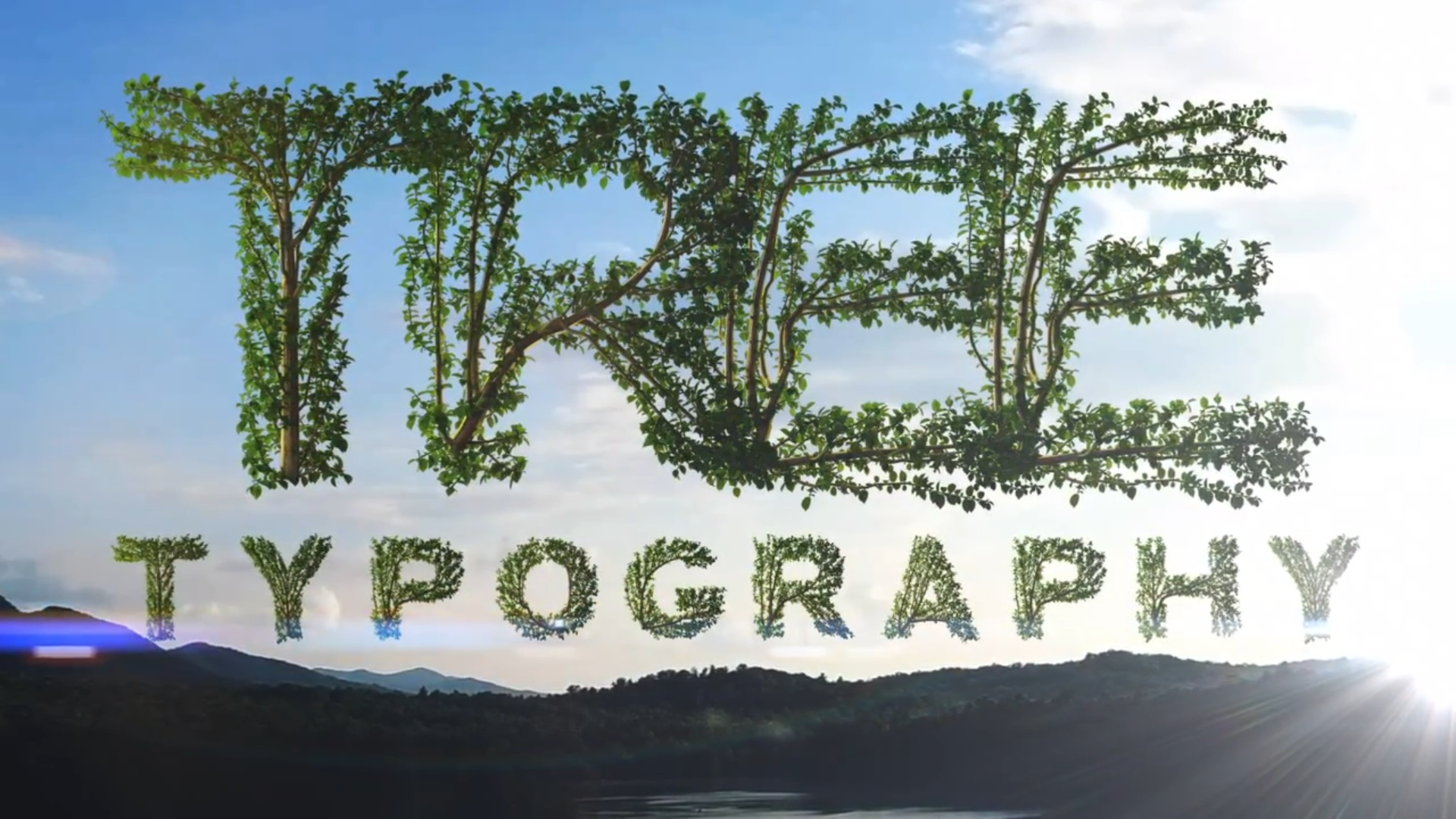 Tree Typography | عالمكم